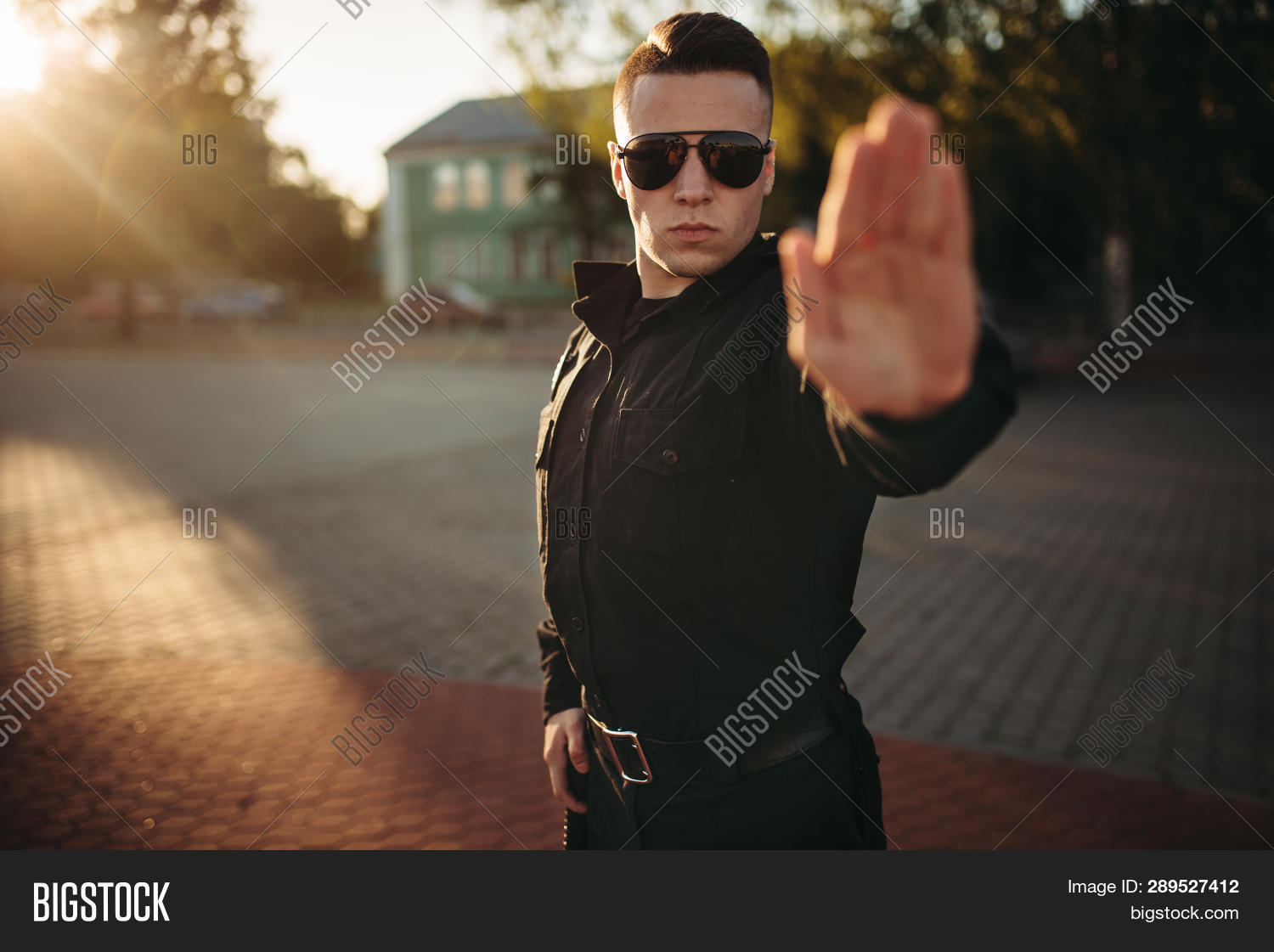 Serious Police Officer Image & Photo (Free Trial) | Bigstock