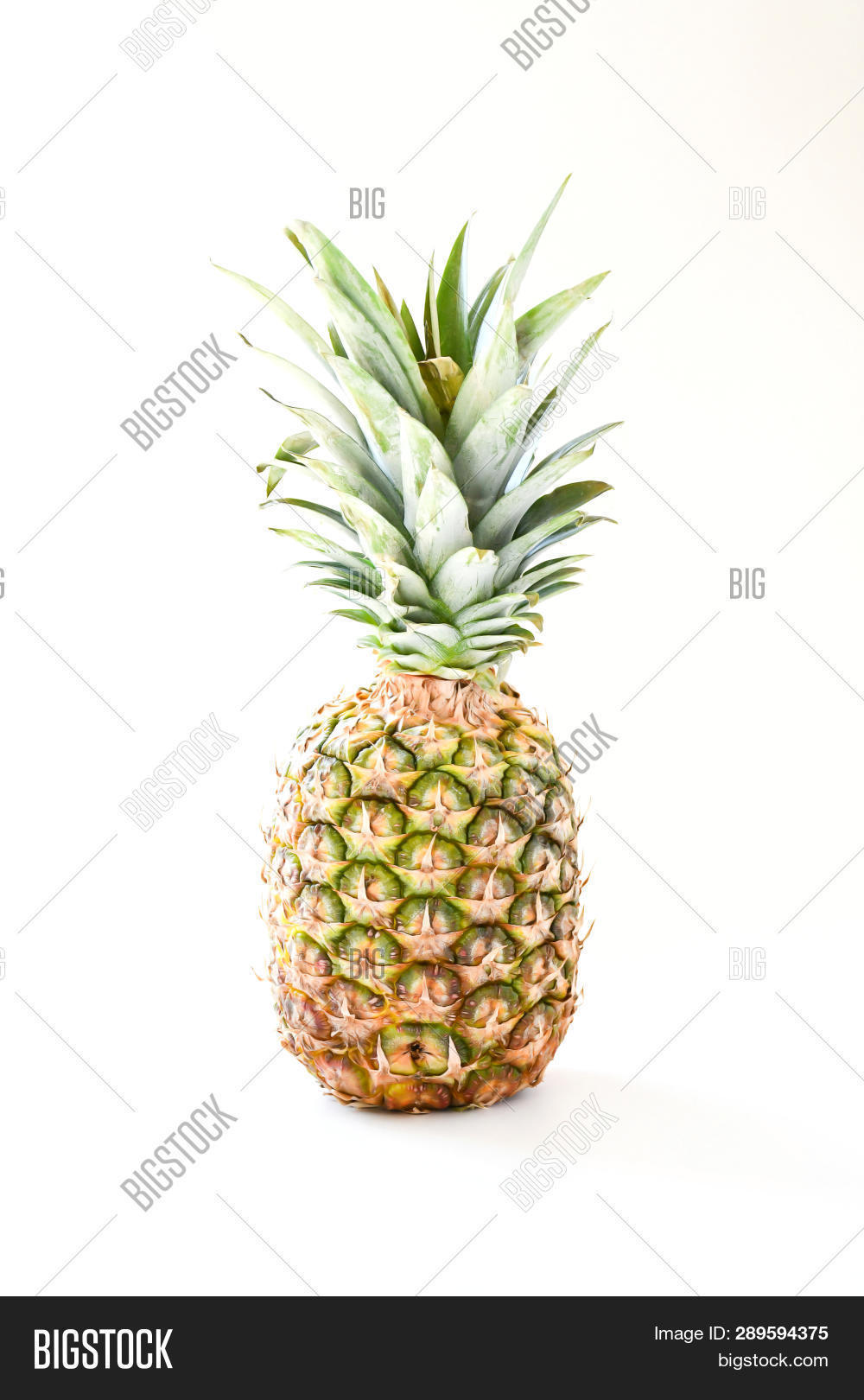 Single Freshness Image & Photo (Free Trial) | Bigstock