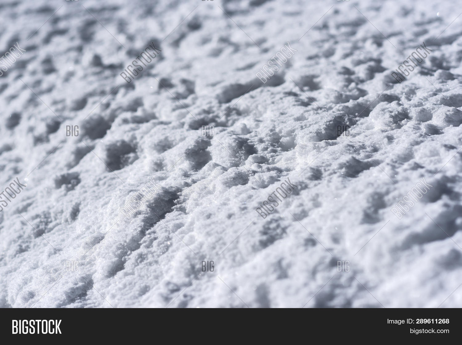 Snow Texture. Snow Image & Photo (Free Trial) | Bigstock
