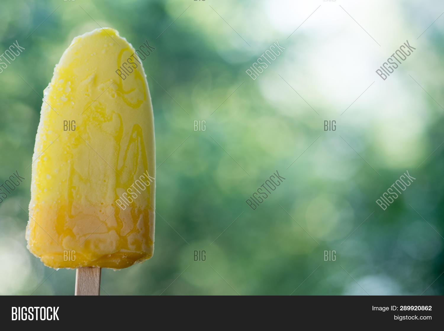 Homemade Ice Pops Made Image & Photo (Free Trial) | Bigstock