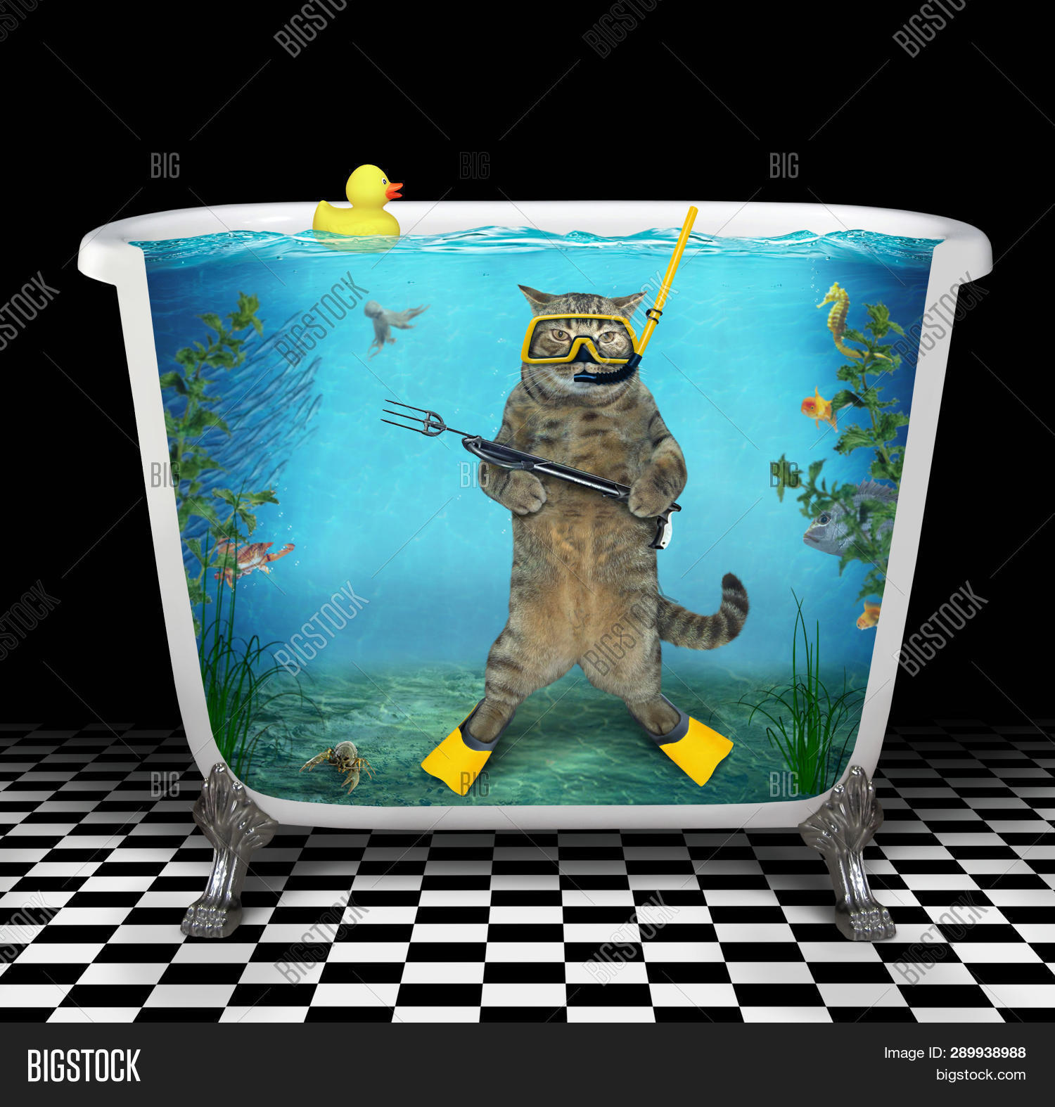 Cute Cat Diver Image & Photo (Free Trial) | Bigstock