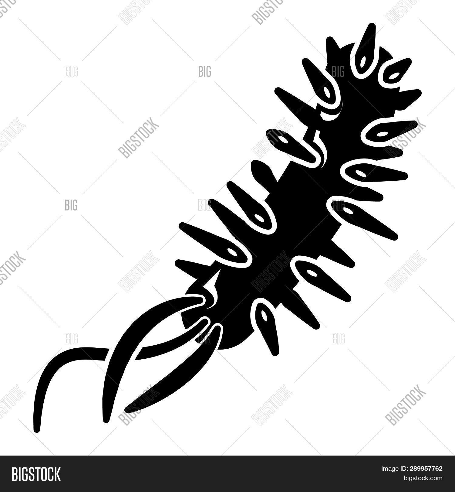 E Coli Bacteria Icon Image & Photo (Free Trial) | Bigstock