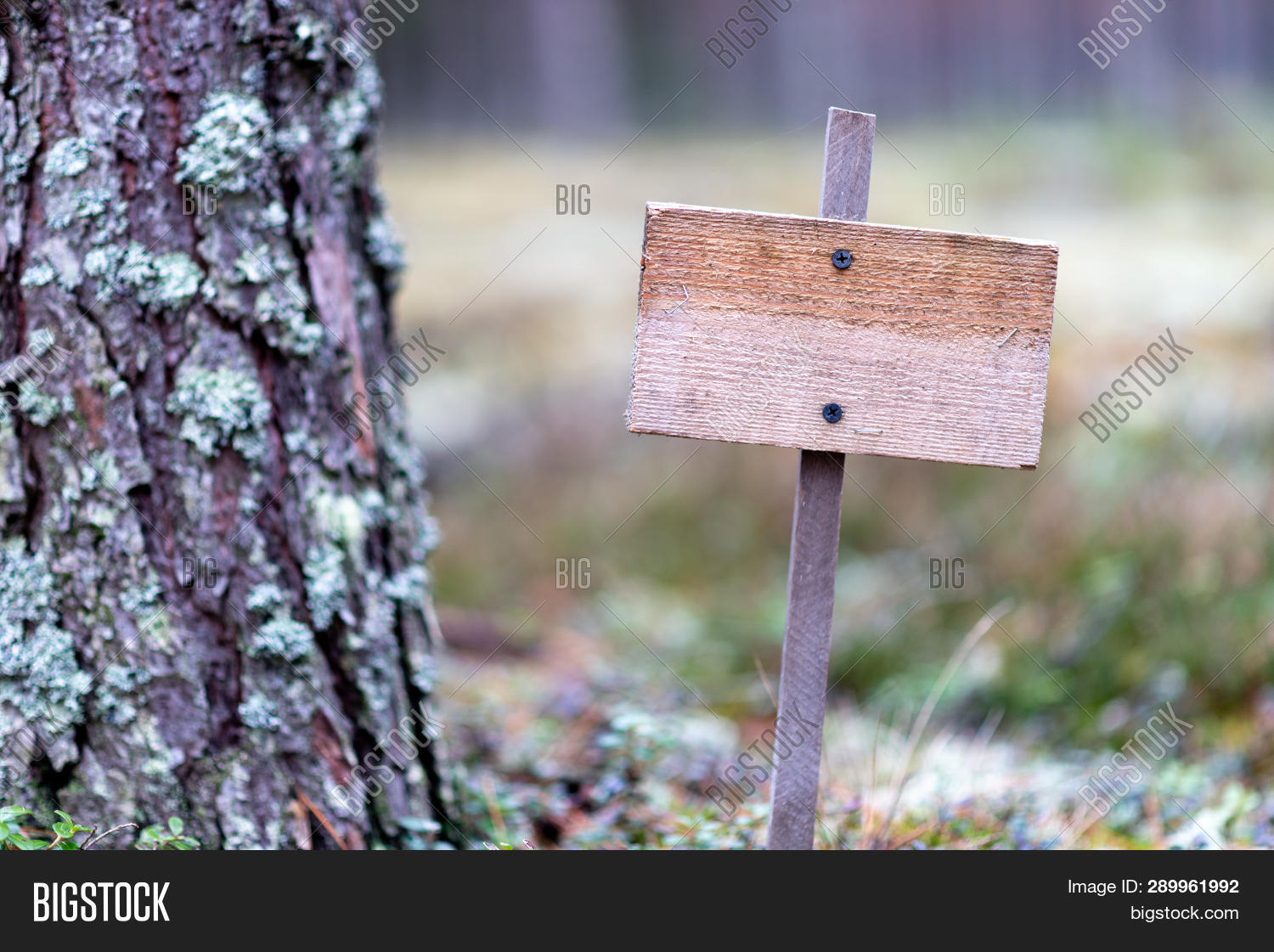 Wooden Empty Plaque Image & Photo (Free Trial) | Bigstock