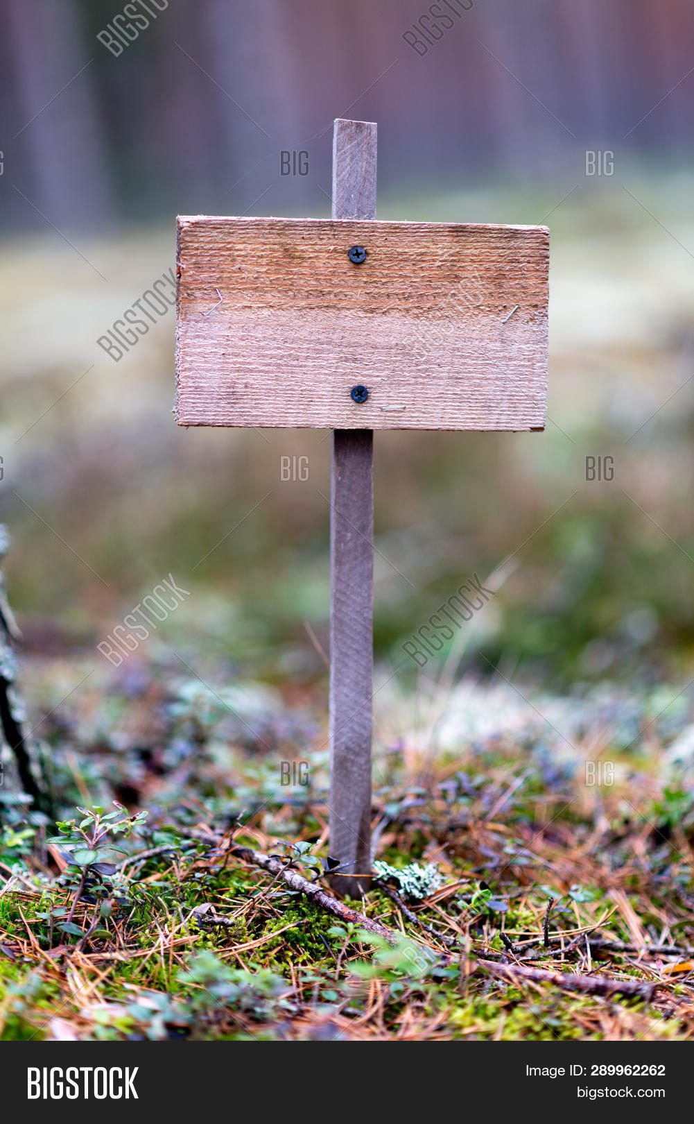 Wooden Empty Plaque Image & Photo (Free Trial) | Bigstock
