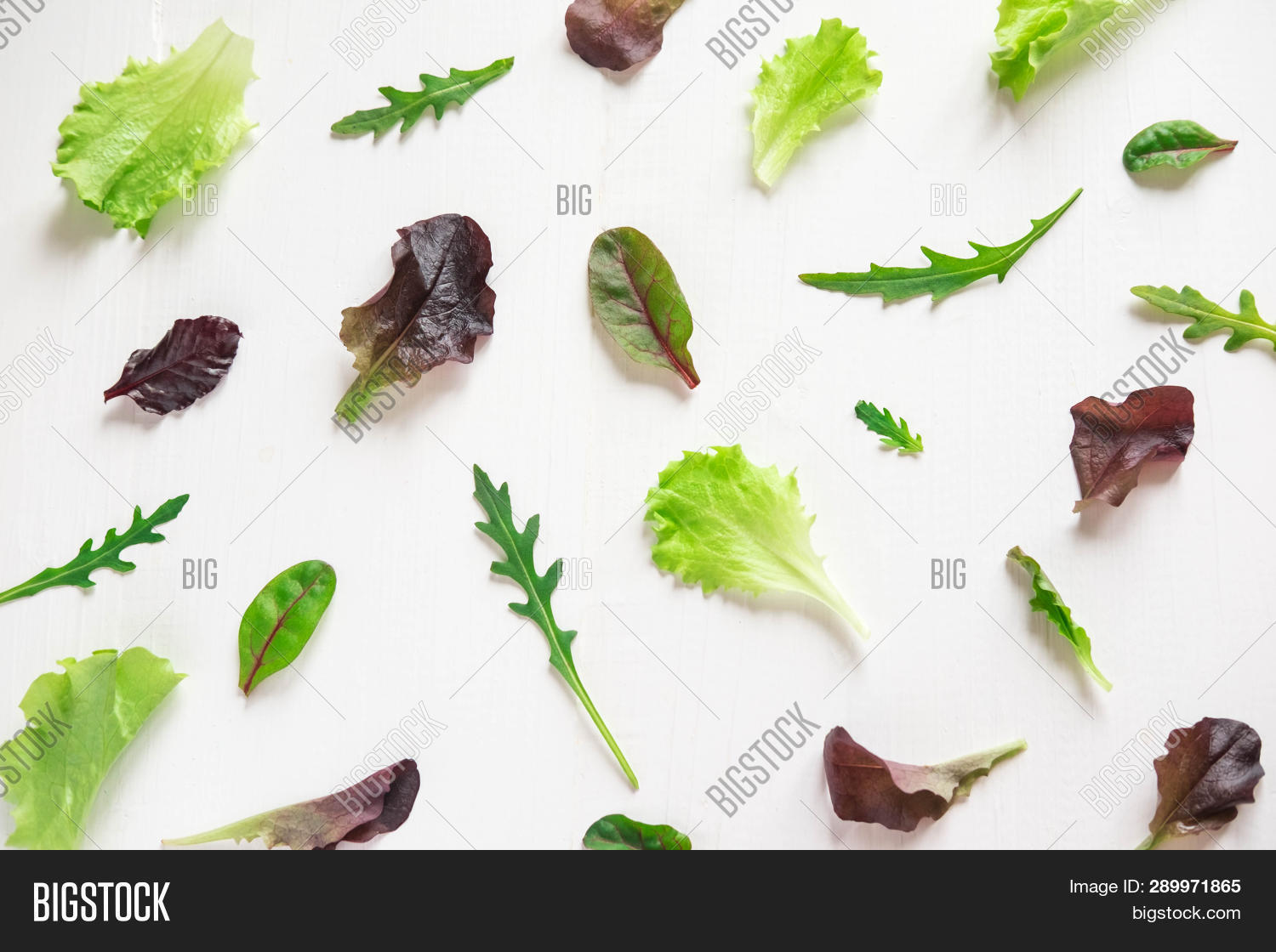Green Salad Leaves On Image & Photo (Free Trial) | Bigstock
