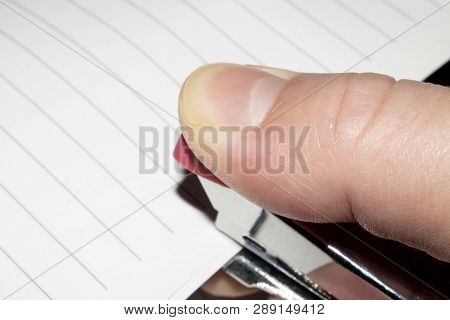 Stapling Paper Staples Image & Photo (Free Trial) | Bigstock