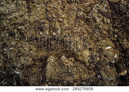 Closeup Soil Texture. Image & Photo (Free Trial) | Bigstock