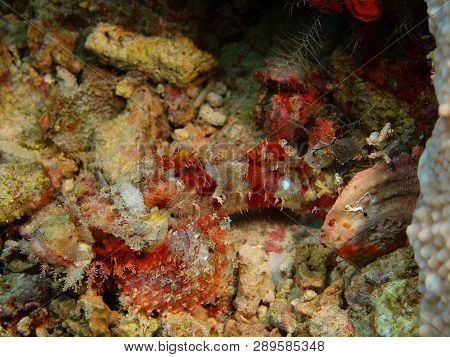 Amazing Mysterious Image & Photo (Free Trial) | Bigstock