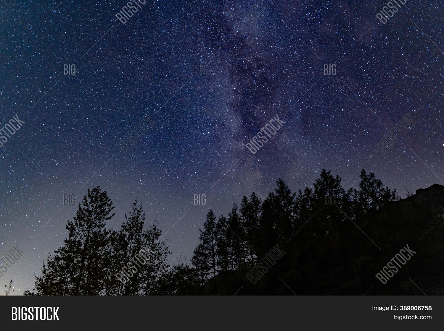 Milky Way Over Trees Image & Photo (Free Trial) | Bigstock