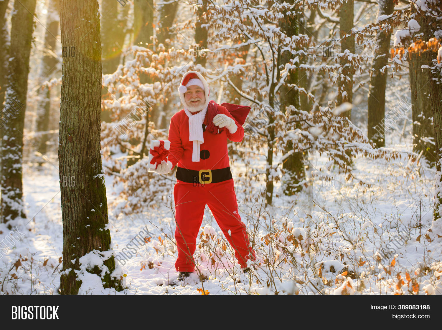 Santa Claus Hold Image & Photo (Free Trial) | Bigstock