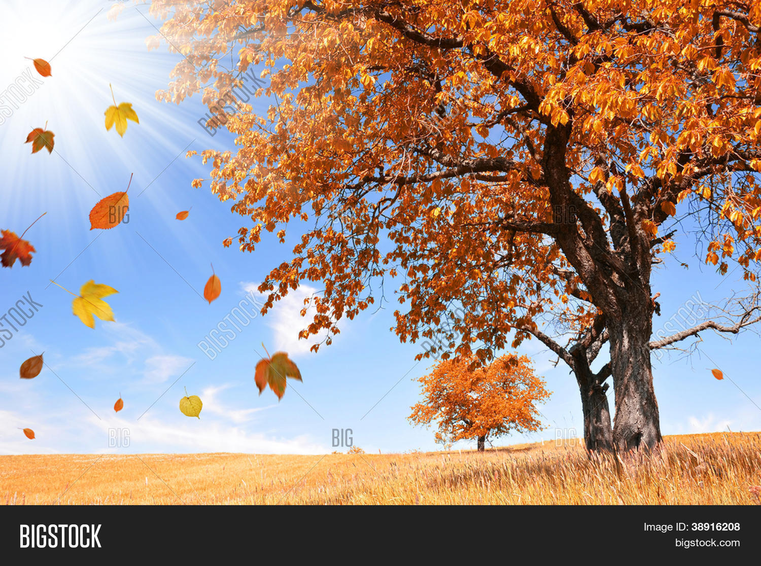 Autumn Landscape Image & Photo (Free Trial) | Bigstock