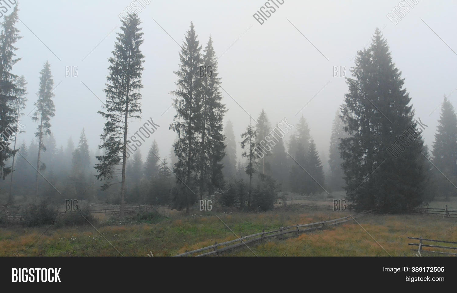 Sad Nature Landscape Image & Photo (Free Trial) | Bigstock