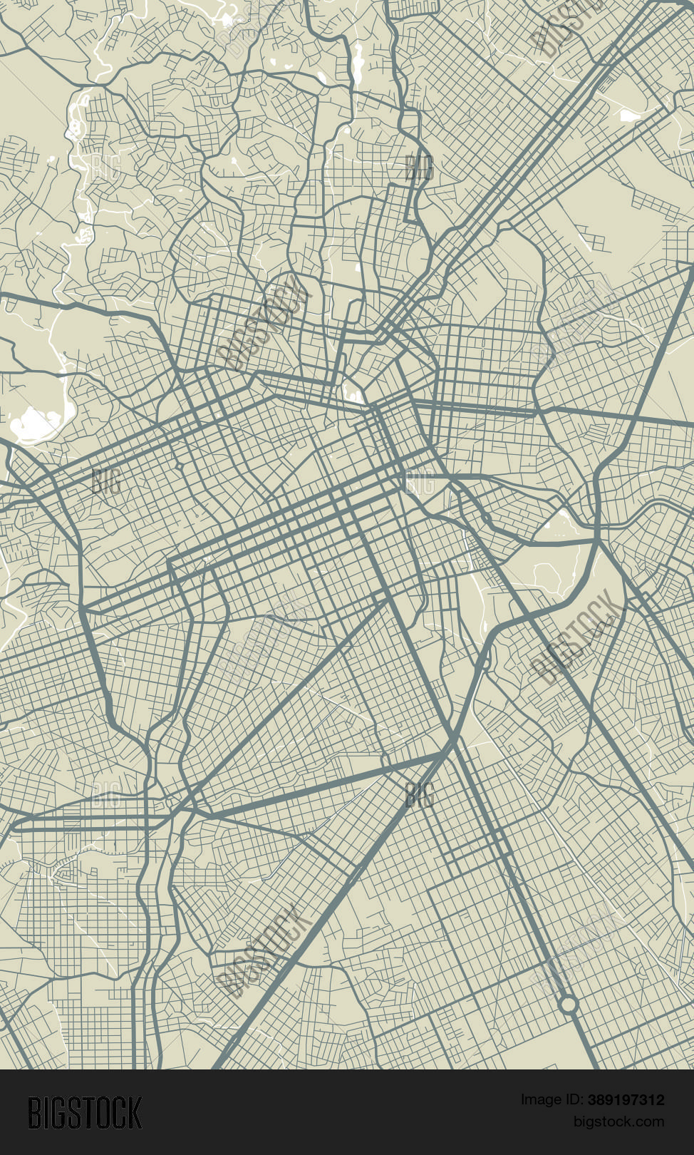 Detailed Map Curitiba Vector & Photo (Free Trial) | Bigstock