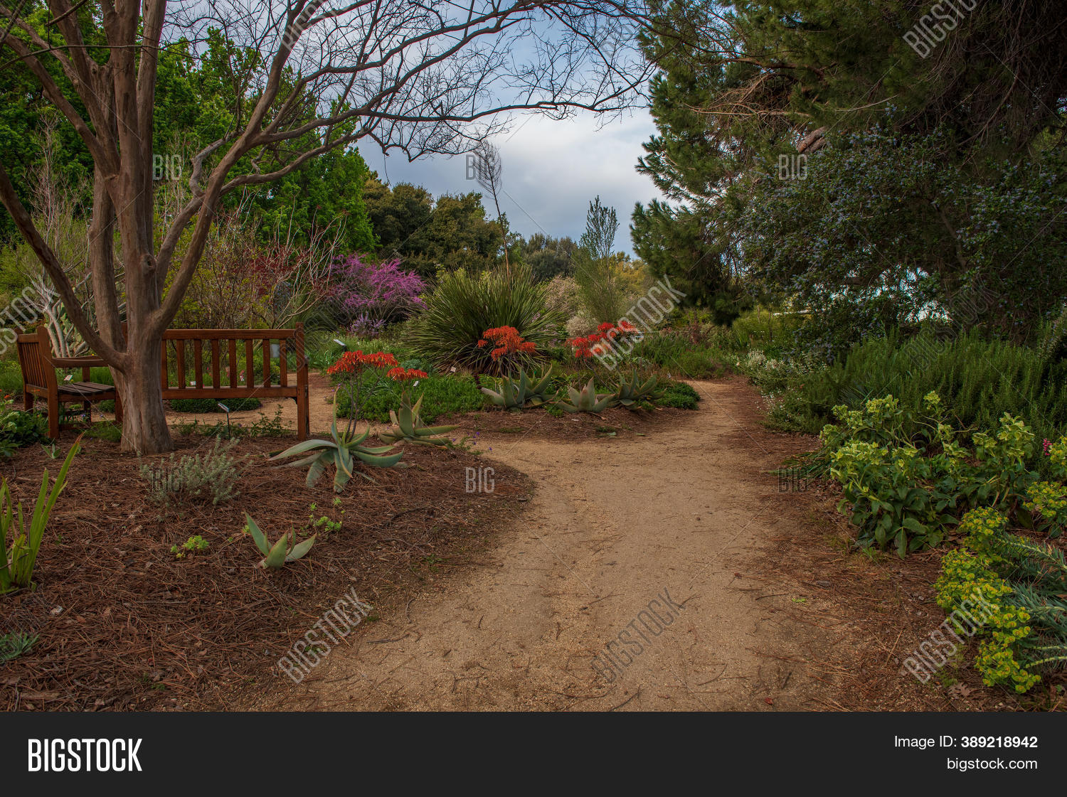 Davis; California; Usa Image & Photo (Free Trial) | Bigstock