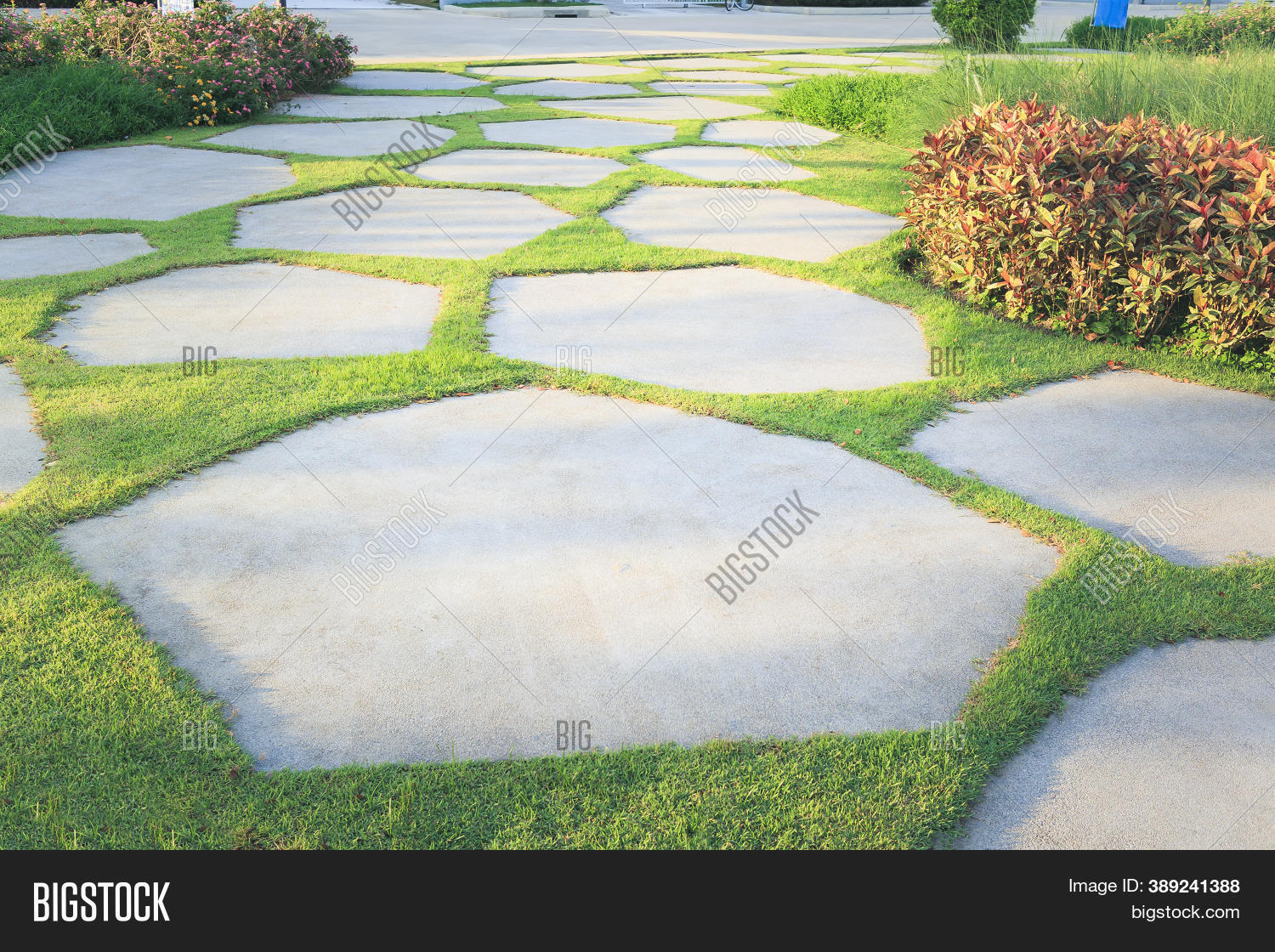 Walkway Bush Garden. Image & Photo (Free Trial) | Bigstock