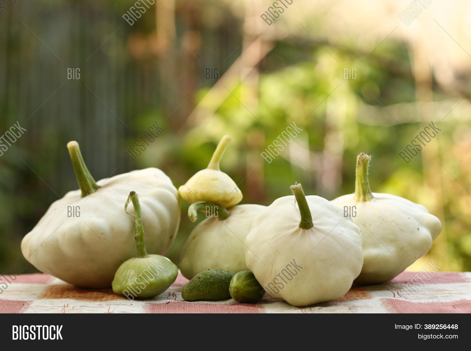 Patisson Bush Pumpkin Image & Photo (Free Trial) | Bigstock
