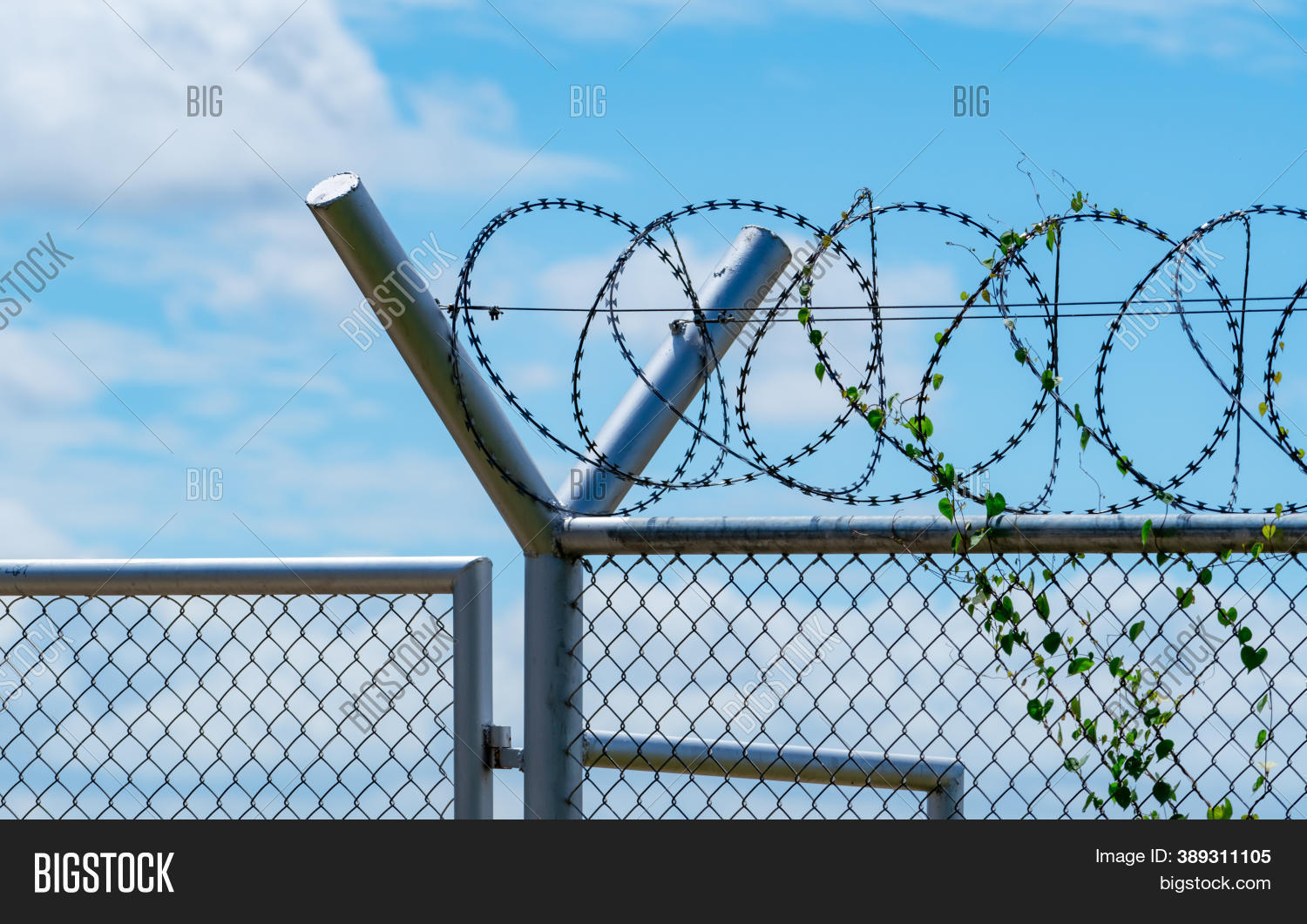 Prison Security Fence Image & Photo (Free Trial) | Bigstock
