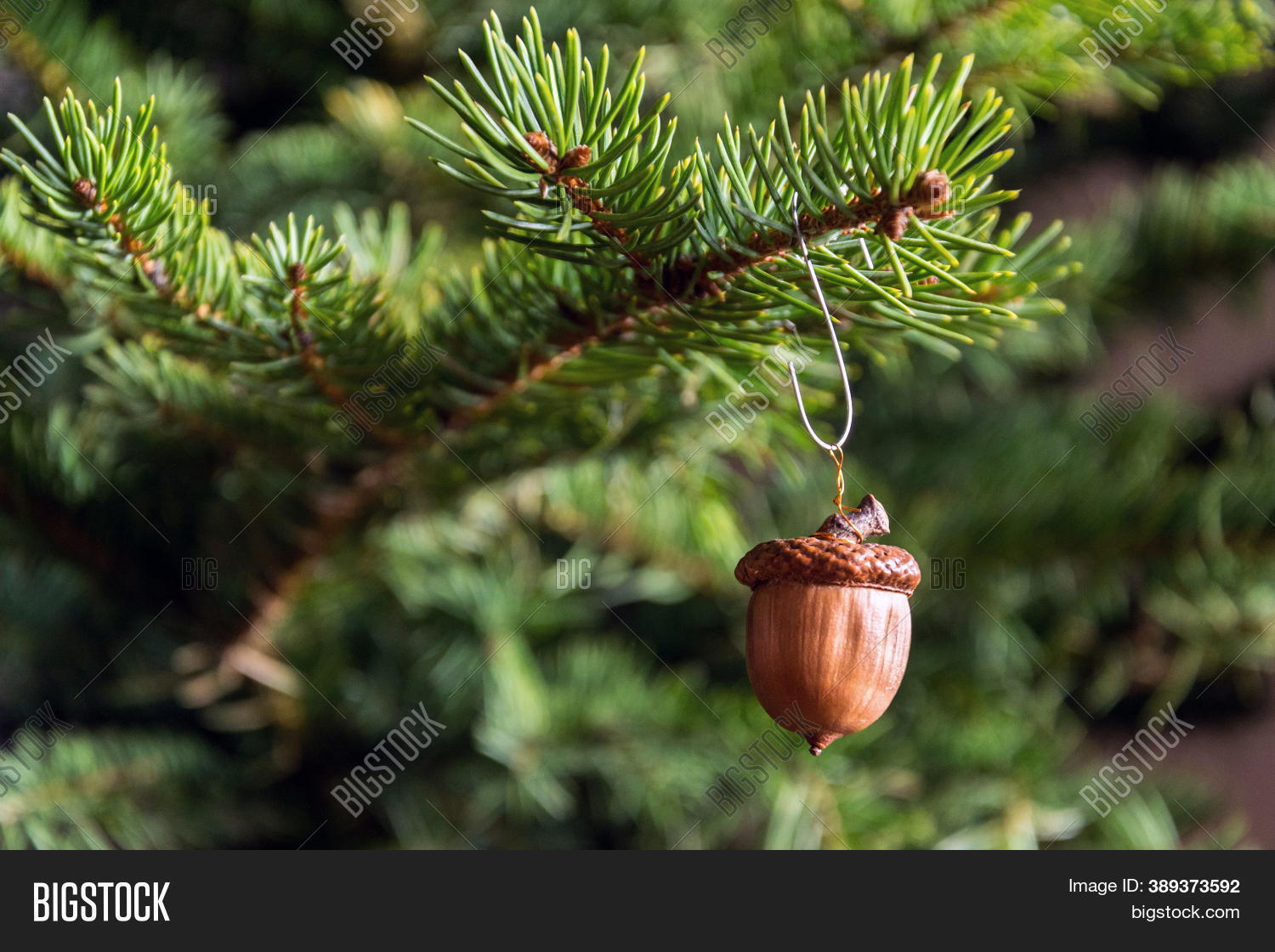 Natural Christmas Image & Photo (Free Trial) | Bigstock