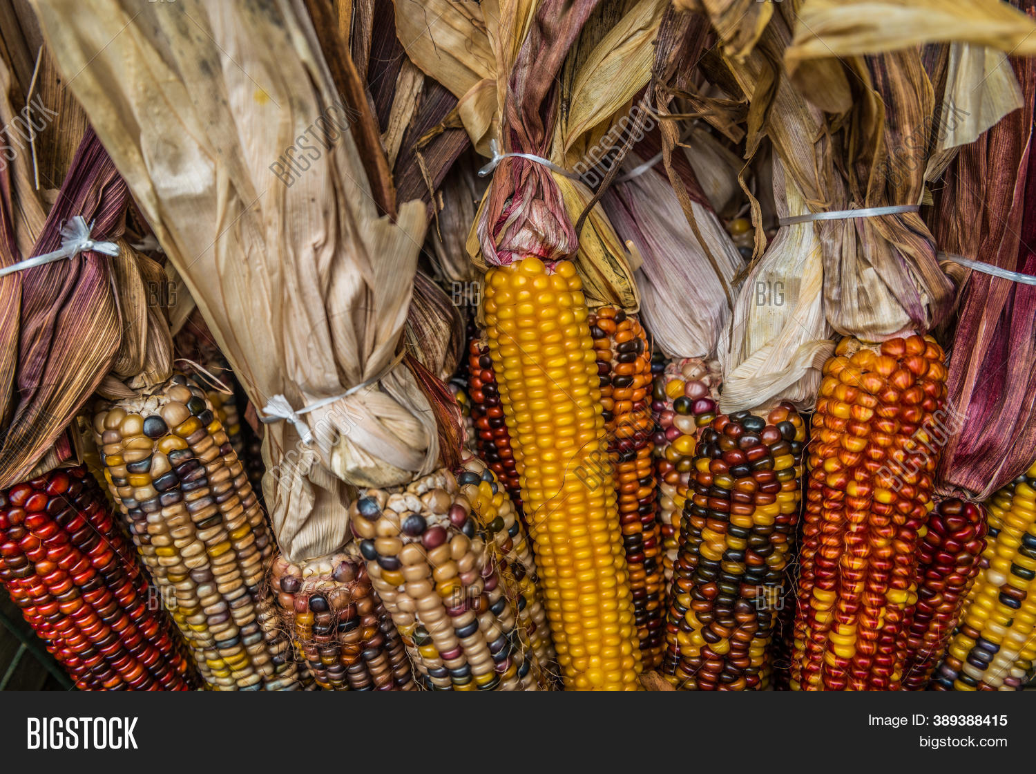 Variety Colorful Image & Photo (Free Trial) | Bigstock