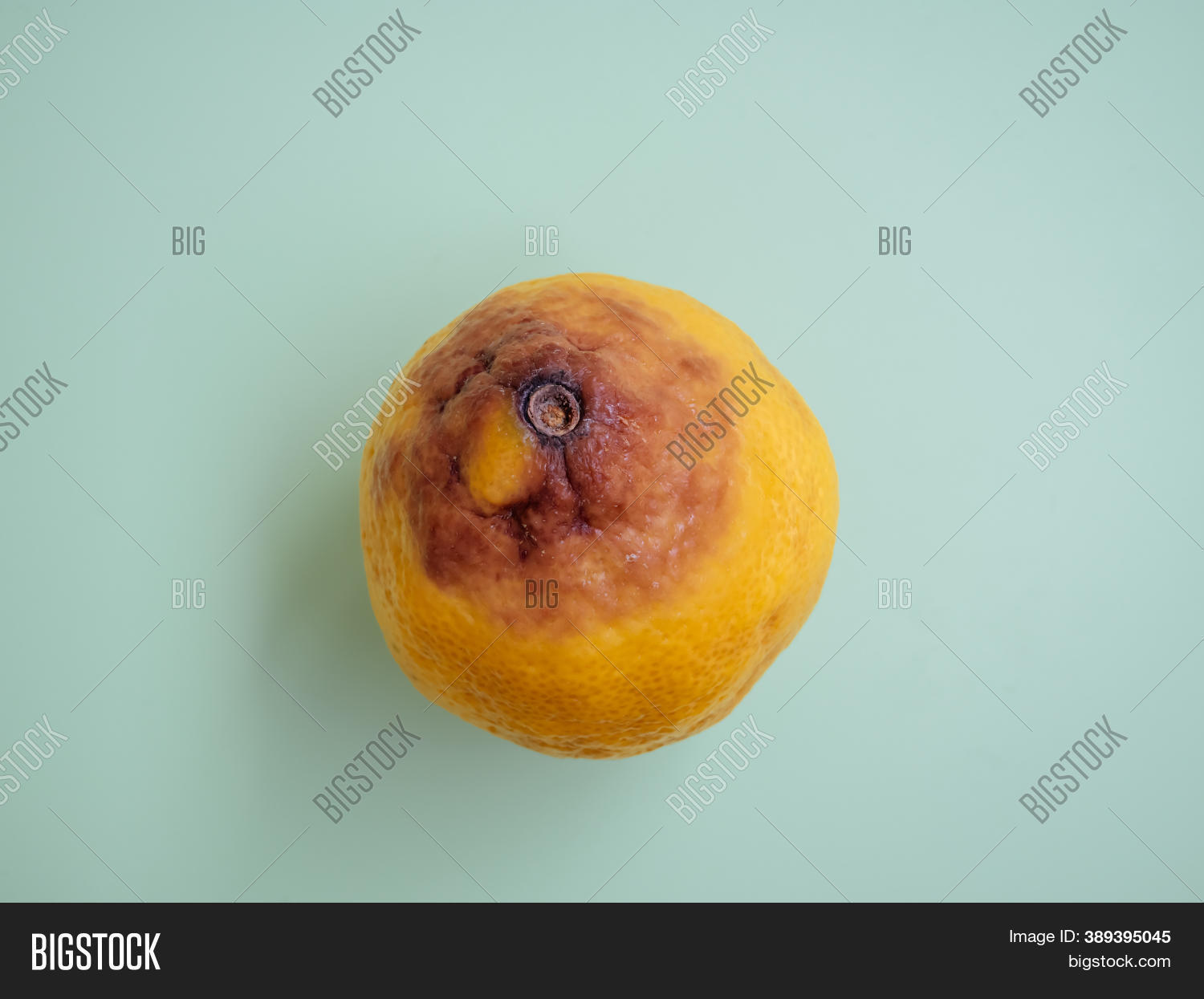 One Rotten Lemon On Image & Photo (Free Trial) | Bigstock