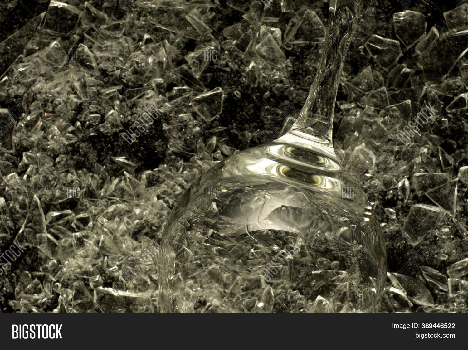 Empty Champagne Glass Image And Photo Free Trial Bigstock