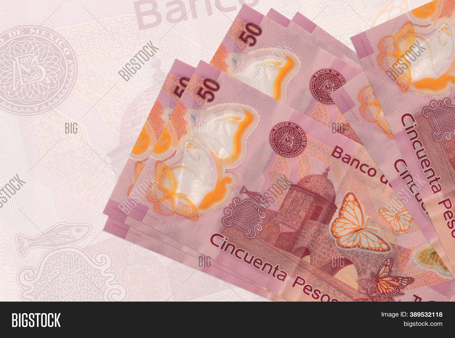 50 Mexican Pesos Bills Image & Photo (Free Trial) | Bigstock