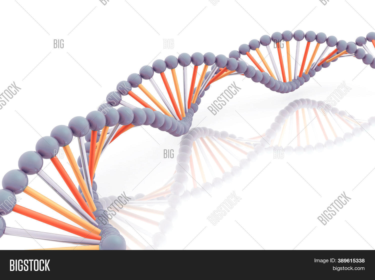 3d Render Dna Molecule Image & Photo (Free Trial) | Bigstock