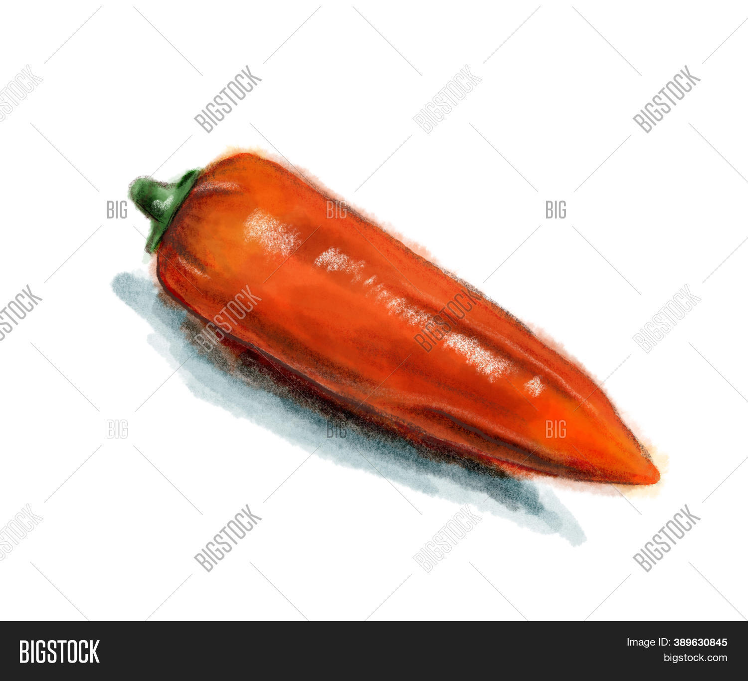 Sketch Red Chili Image & Photo (Free Trial) | Bigstock