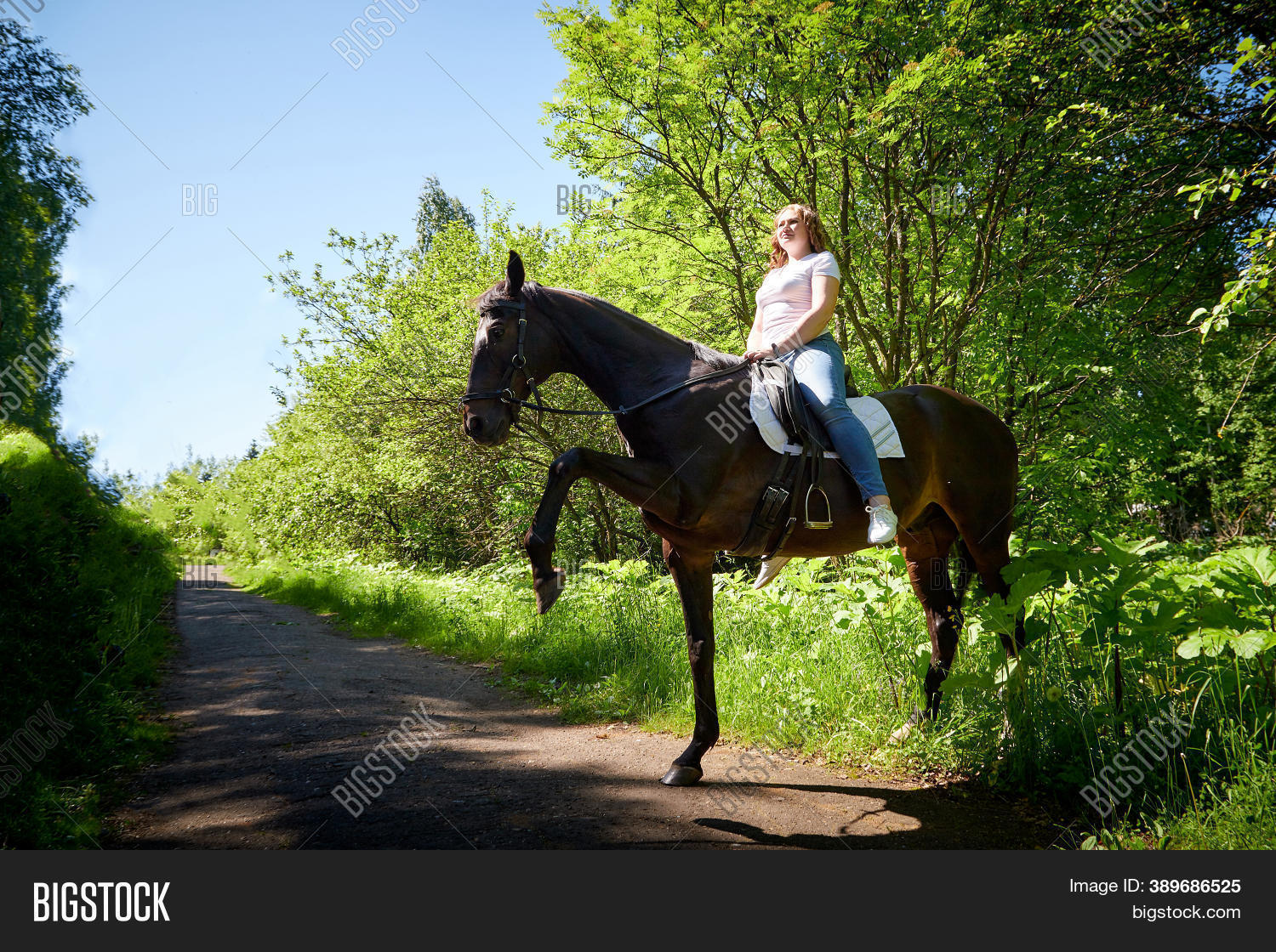 Fat Girl Brown Horse Image & Photo (Free Trial) | Bigstock
