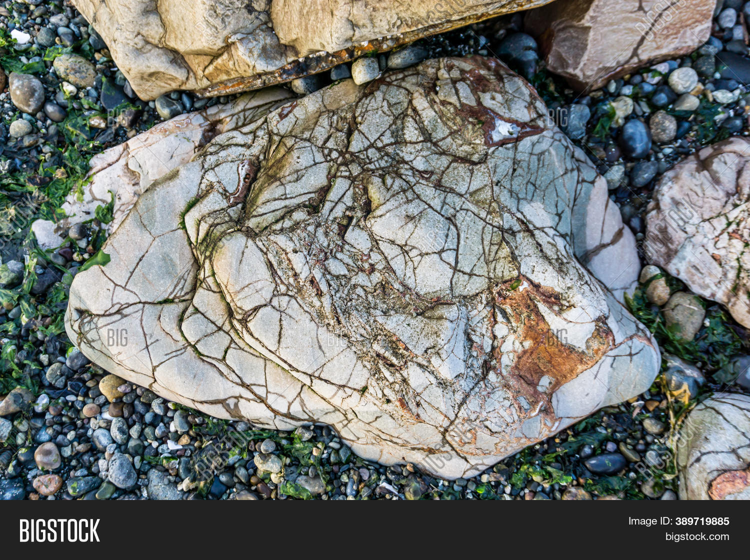 View Large Cracked Image & Photo (Free Trial) | Bigstock
