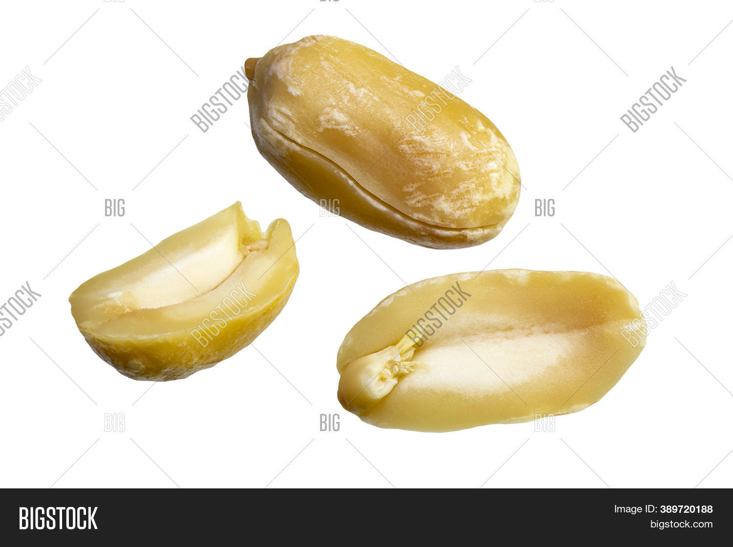 Peanut Isolated Image & Photo (Free Trial) | Bigstock