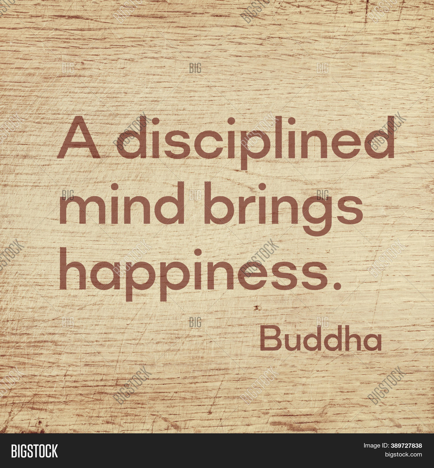 Disciplined Mind Image & Photo (Free Trial) | Bigstock