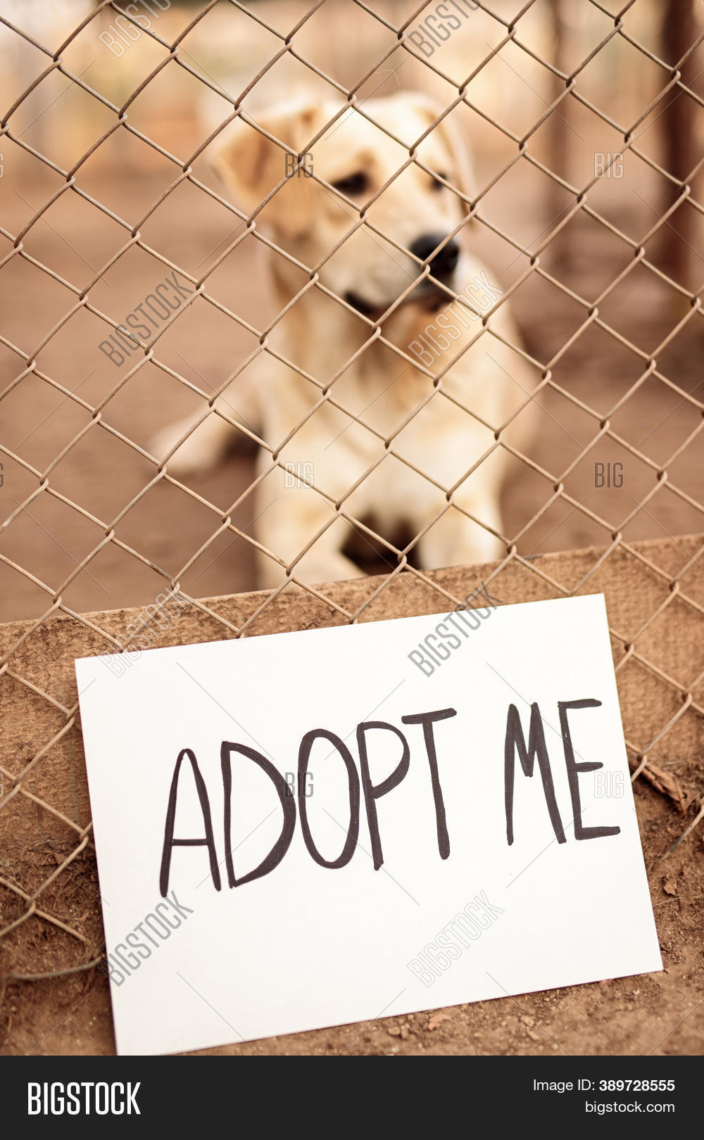 Paper Sheet Adopt Me Image & Photo (Free Trial) | Bigstock