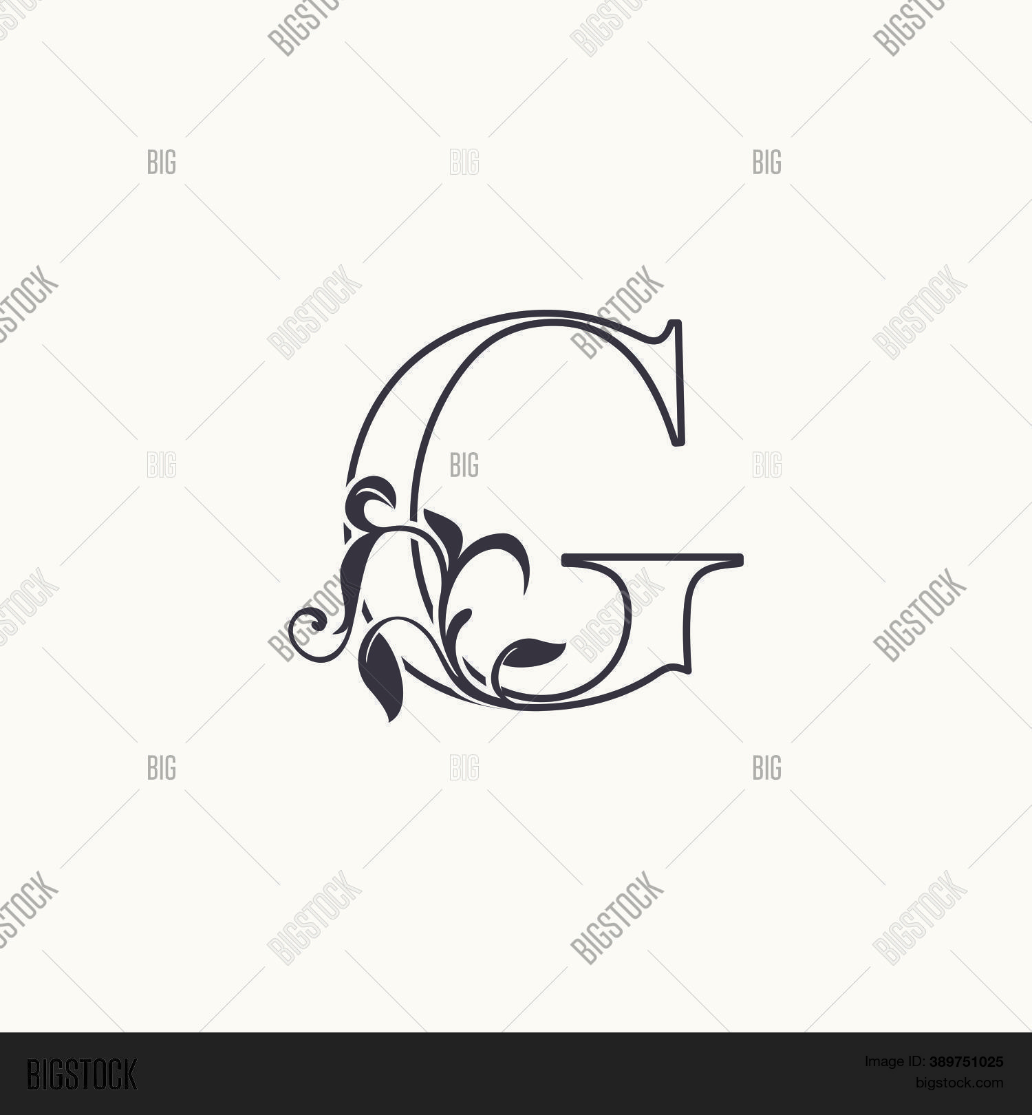 Graceful Floral Vector & Photo (Free Trial) | Bigstock