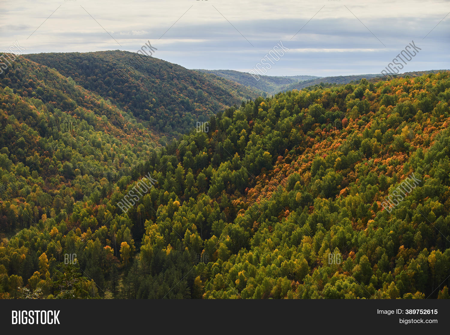 Top View Colourful Image & Photo (Free Trial) | Bigstock
