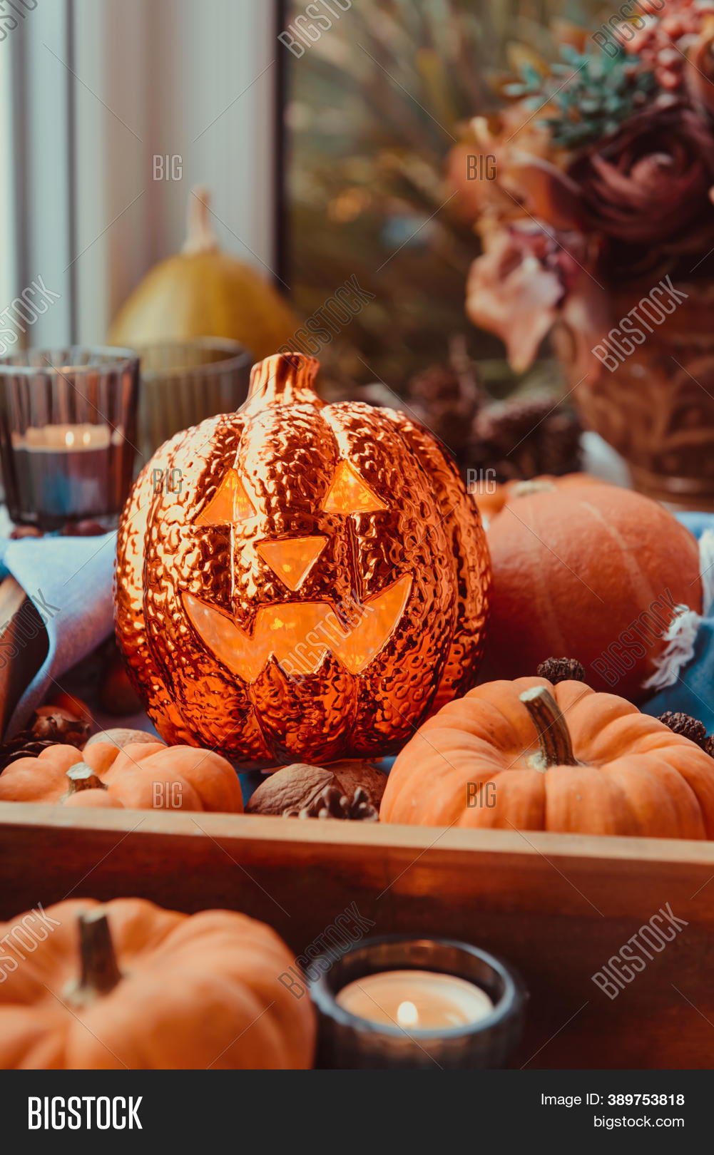 Close Halloween Cozy Image & Photo (Free Trial) | Bigstock