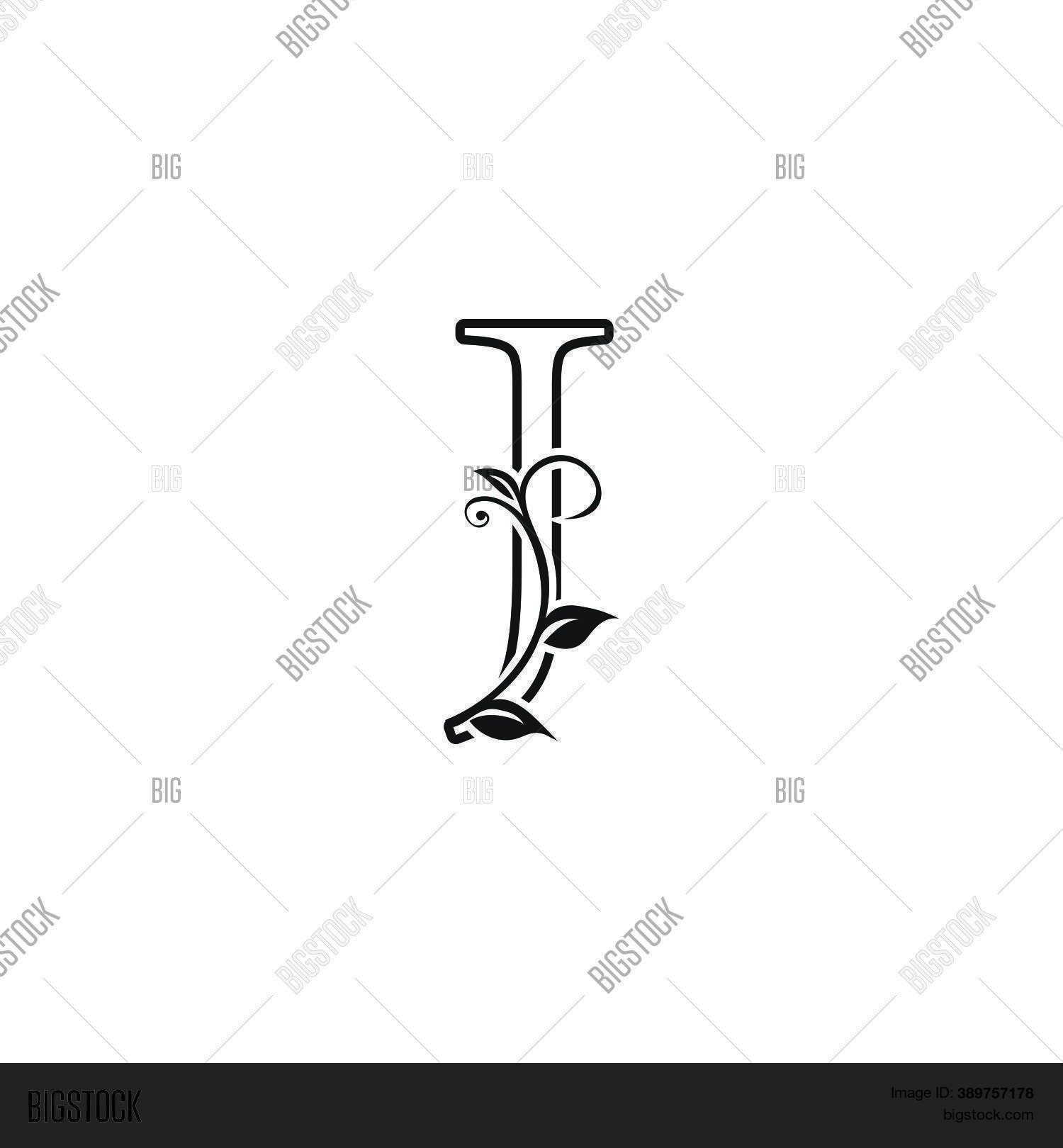 Outline Deco Floral Vector & Photo (Free Trial) | Bigstock