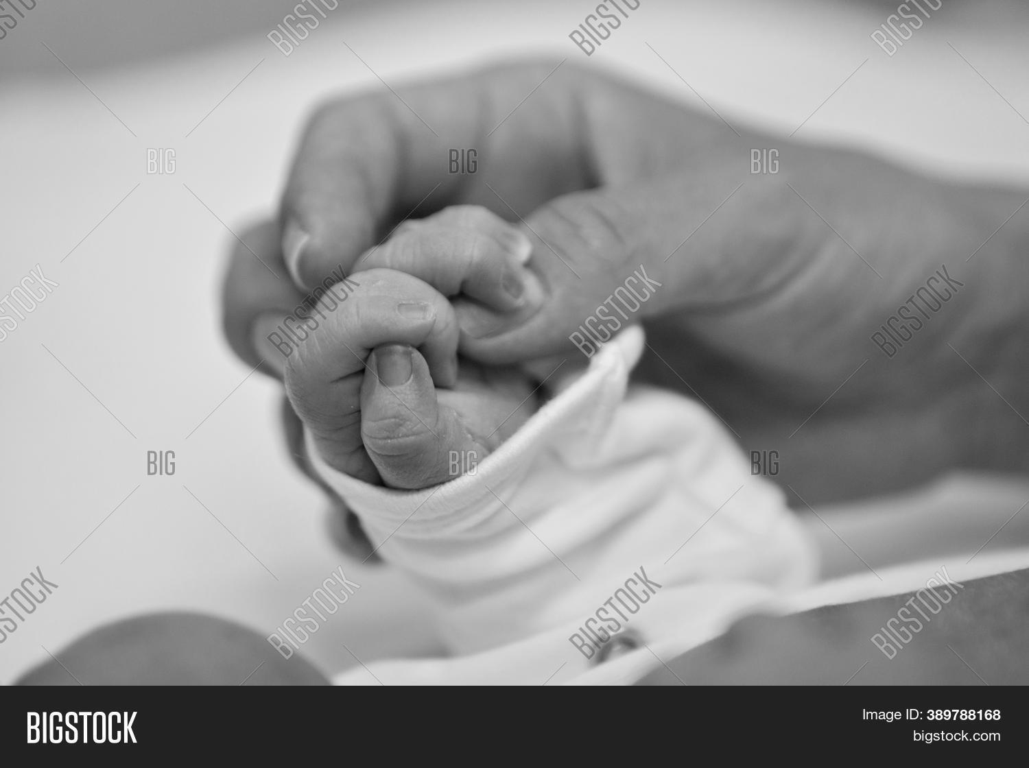 Newborn Babys Hand. Image & Photo (Free Trial) | Bigstock