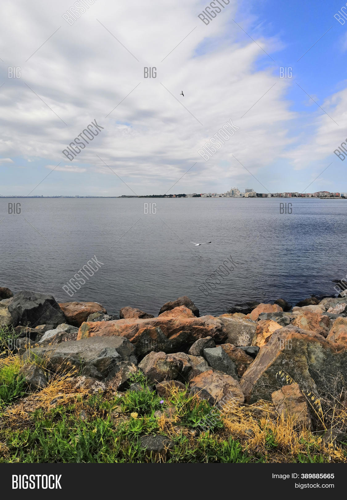 Seashore Stone Image & Photo (Free Trial) | Bigstock