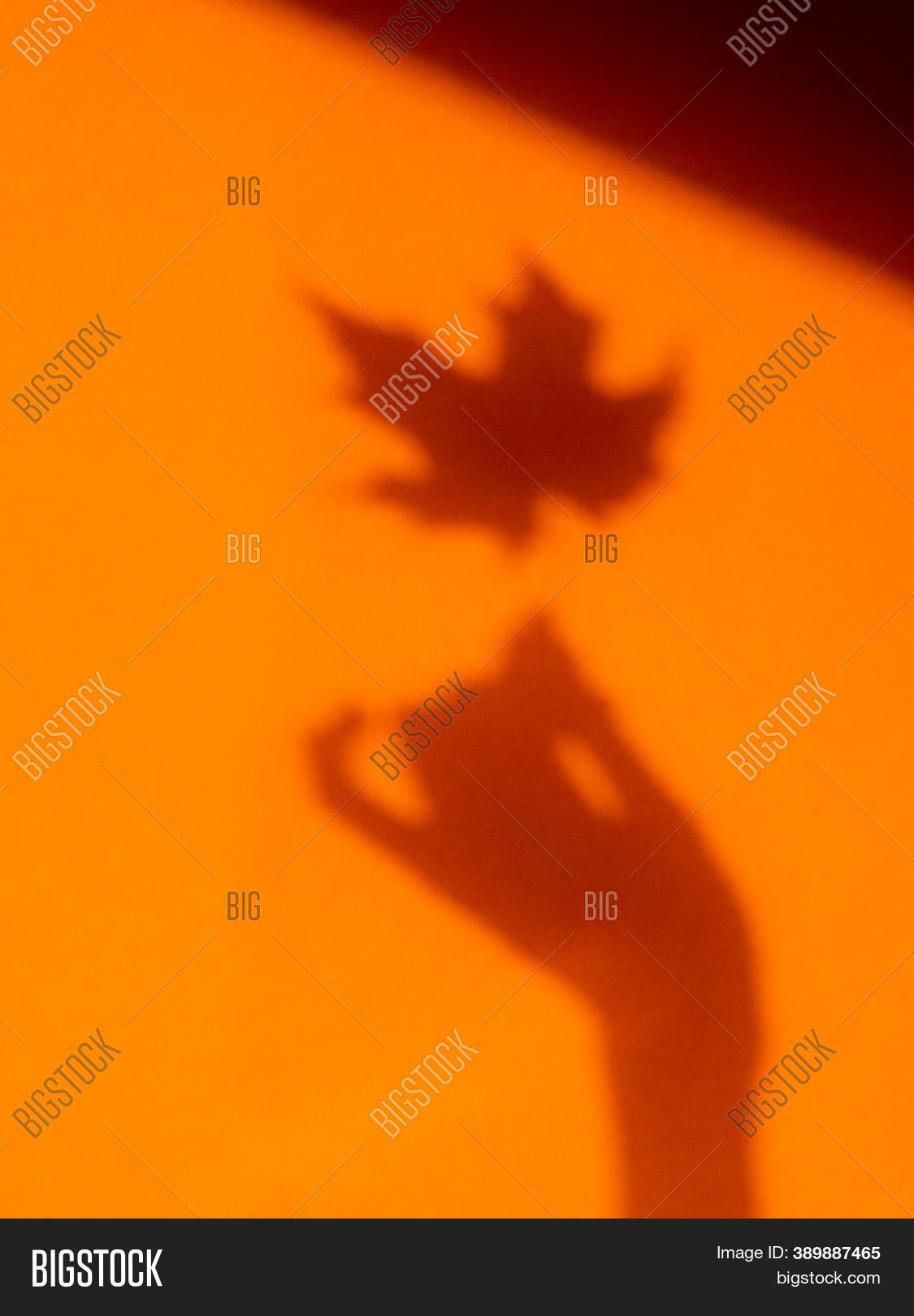 Shadows Woman Hand Image & Photo (Free Trial) | Bigstock