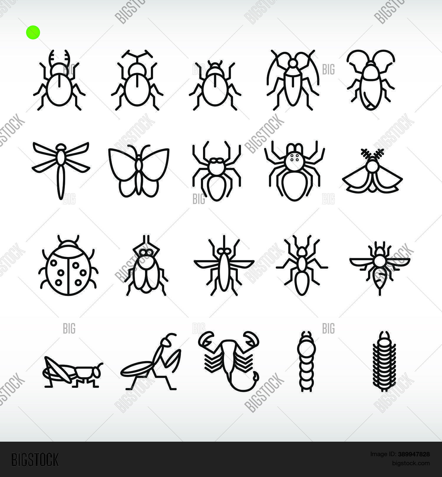 Insect Icon Set Vector & Photo (Free Trial) | Bigstock