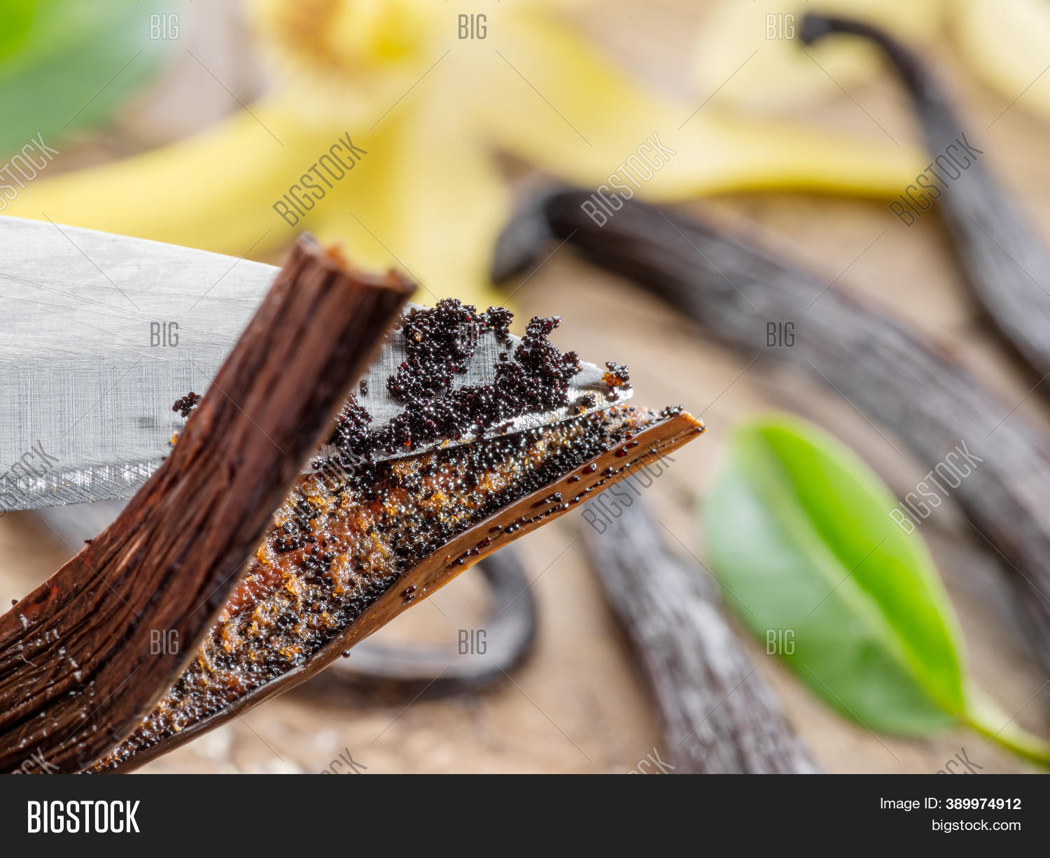Dried Vanilla Fruits Image & Photo (Free Trial) | Bigstock