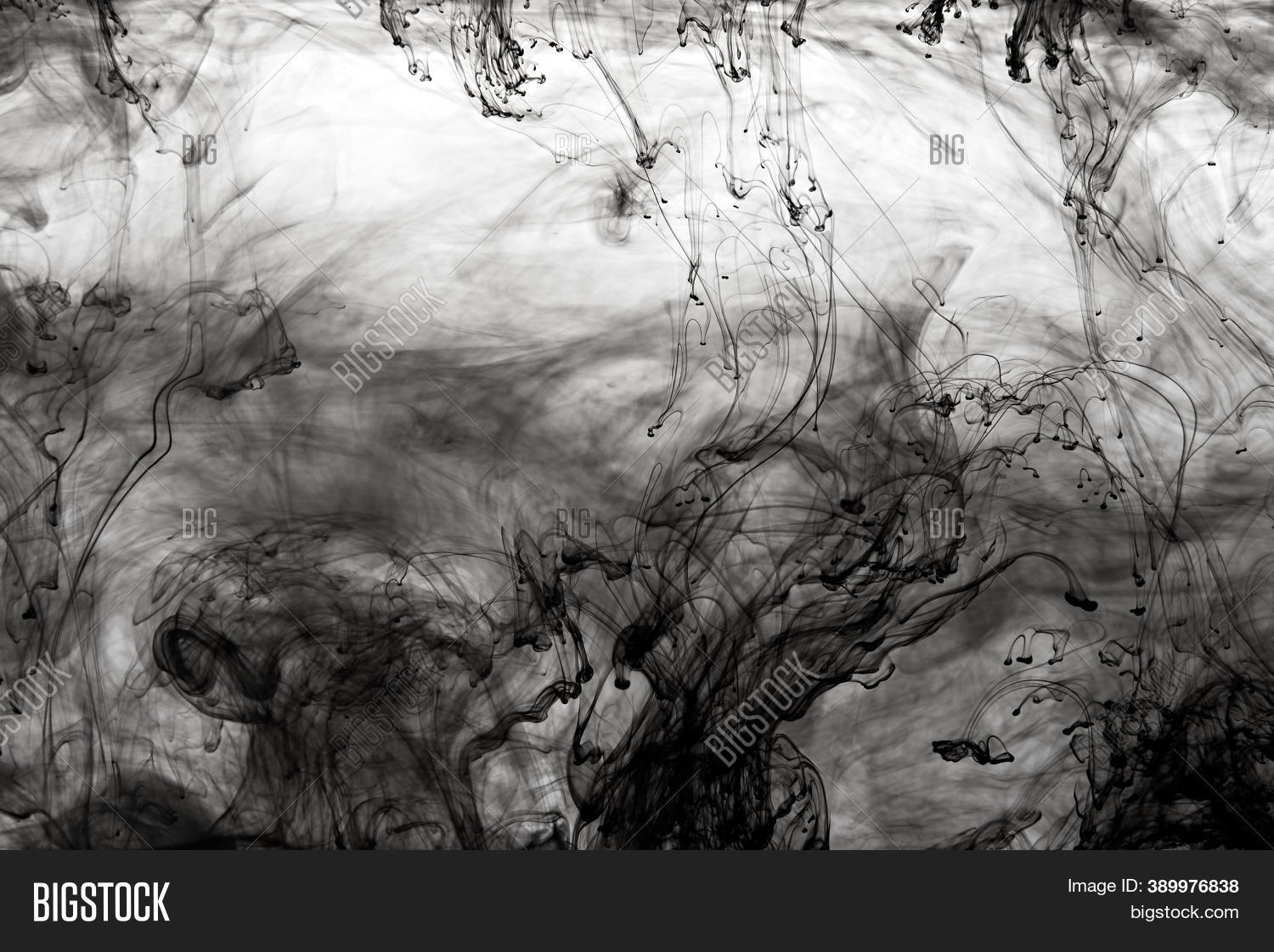 Closeup Black Ink Image & Photo (Free Trial) | Bigstock