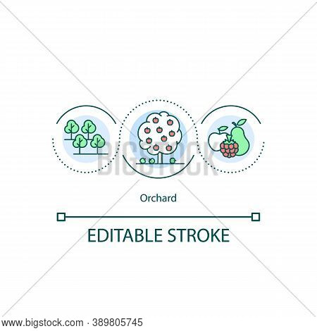 Orchard Concept Icon Vector & Photo (Free Trial) | Bigstock