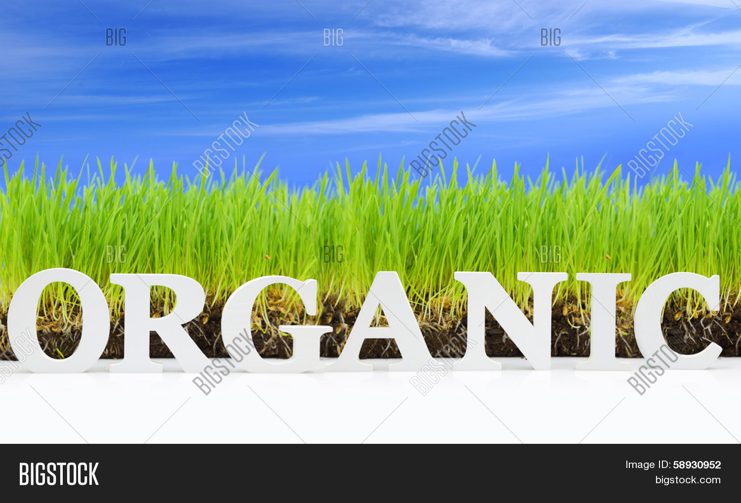 Word "Organic" Fresh Image & Photo (Free Trial) | Bigstock