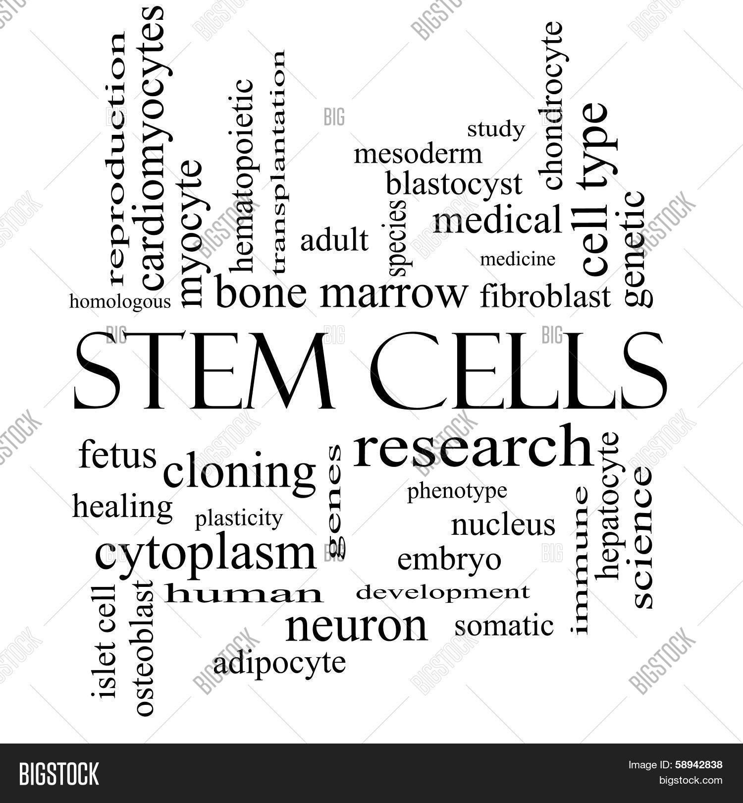 Stem Cells Word Cloud Image & Photo (Free Trial) | Bigstock