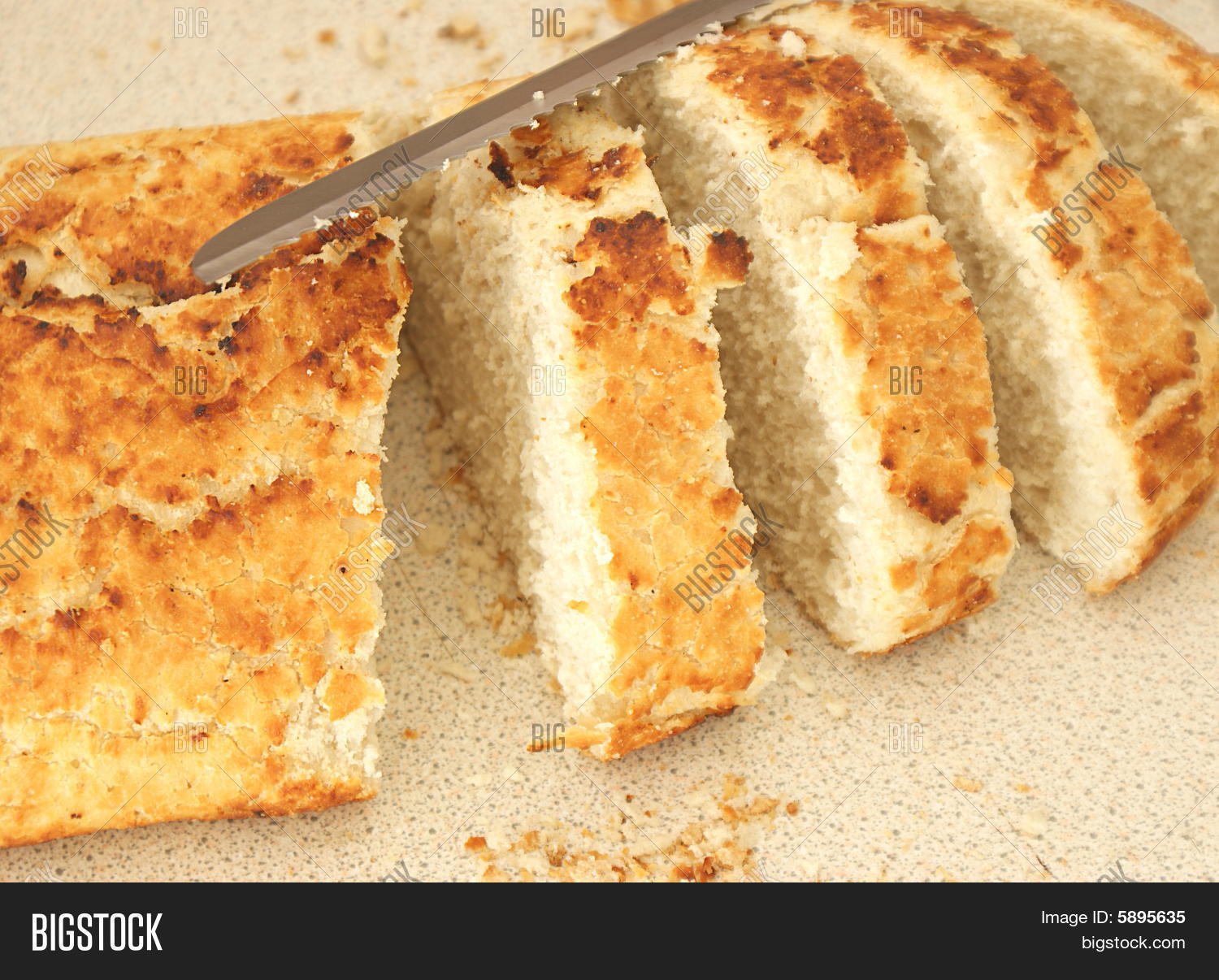 Tiger Bread Image & Photo (Free Trial) | Bigstock