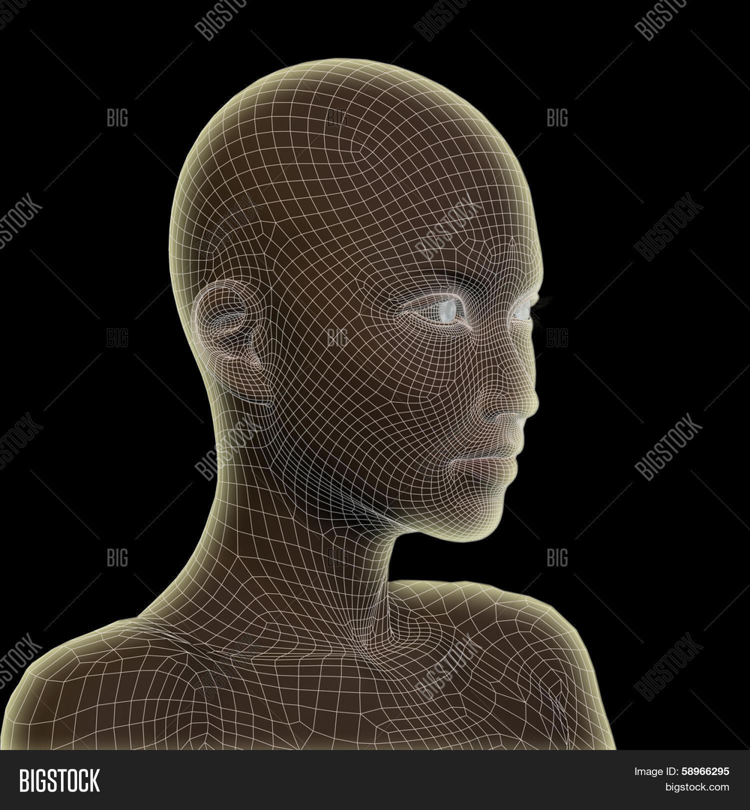 High Resolution Image & Photo (Free Trial) | Bigstock