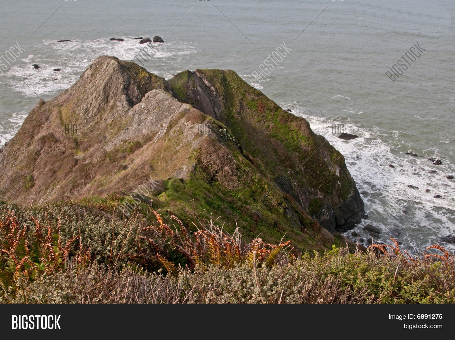 Craggy Rock On Pacific Image & Photo (Free Trial) | Bigstock
