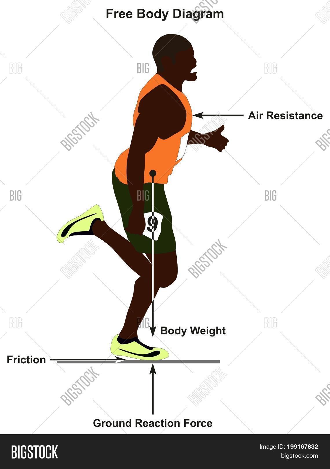 Free Body Diagram Image & Photo (Free Trial) | Bigstock
